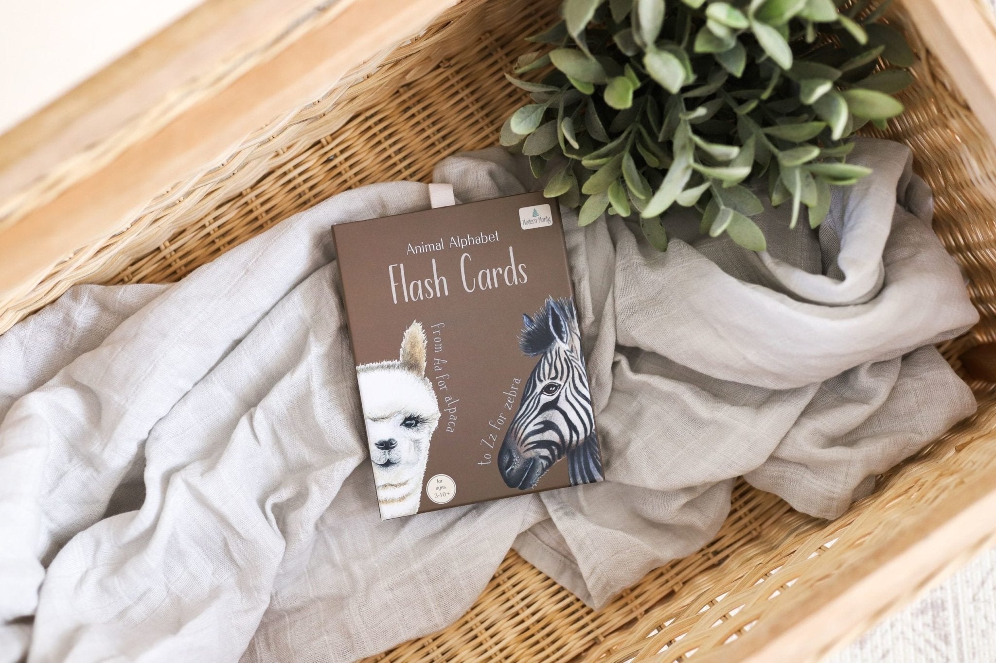 Modern Monty Animal Alphabet Flash Cards – Hola Nanu